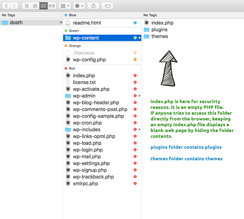 Understanding WordPress Folder And File Structure And Where Does A